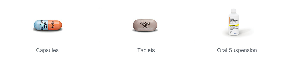 What Is CellCept® (mycophenolate mofetil)?